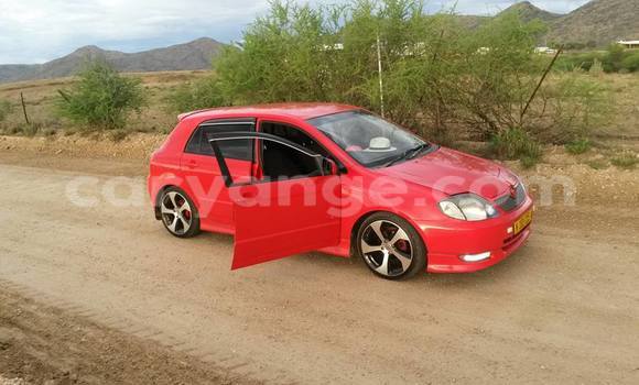 Buy used toyota runx red car in windhoek in namibia - caryange